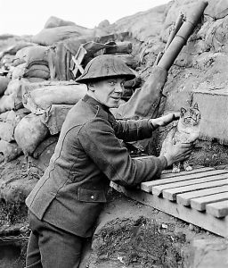 Cat Mascots WW1 | Article