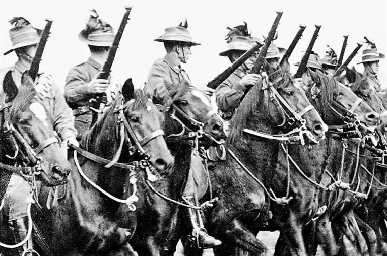 War Horses WW1 - Incredible Images